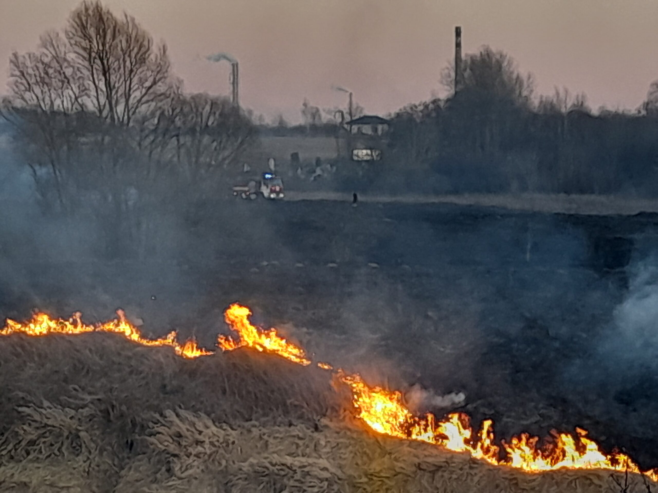 Baudos kėdainiečiams – nė motais: kaimuose degino žolę, o mieste ...